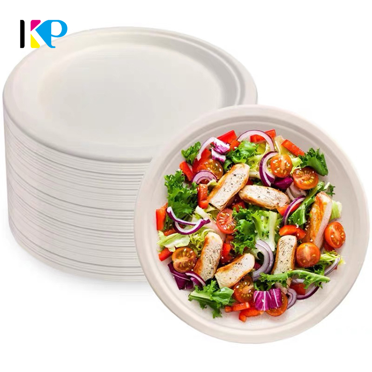 Large Paper Plate - China biodegradable Tableware Suppliers-Qingdao ...